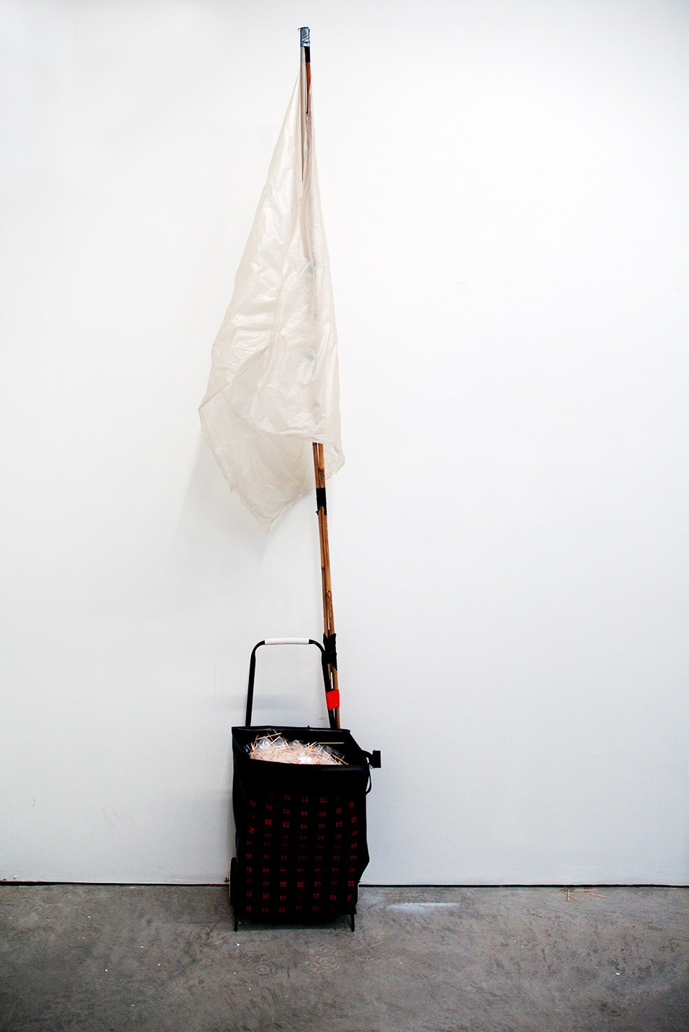 The Freedumb Peddler // Shopping Trolley, Polyurethane, Bamboo, Tape ...